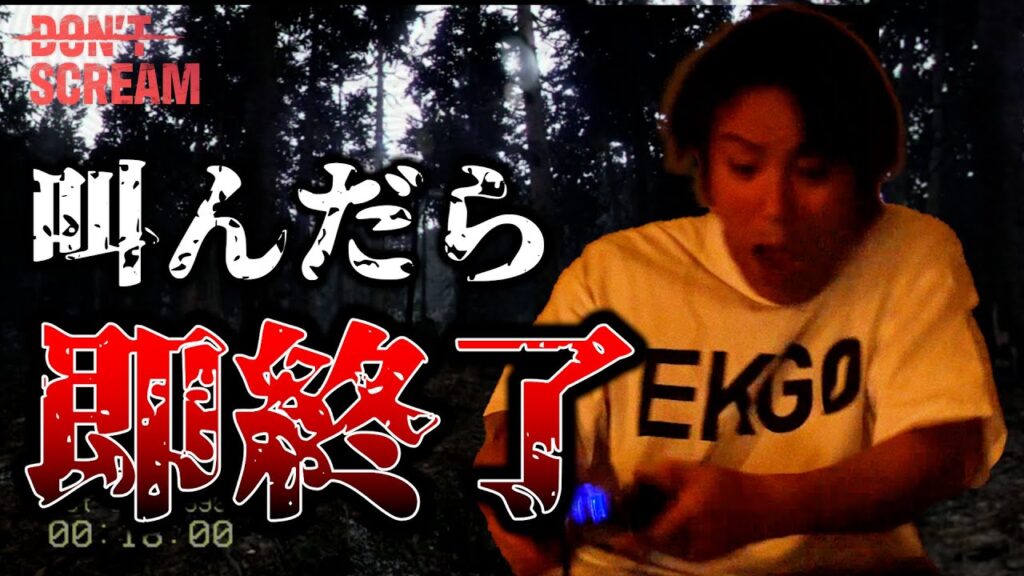 叫んだら即終了するホラーゲームにEIKOが挑戦！ | 芸能人YouTubeまとめ